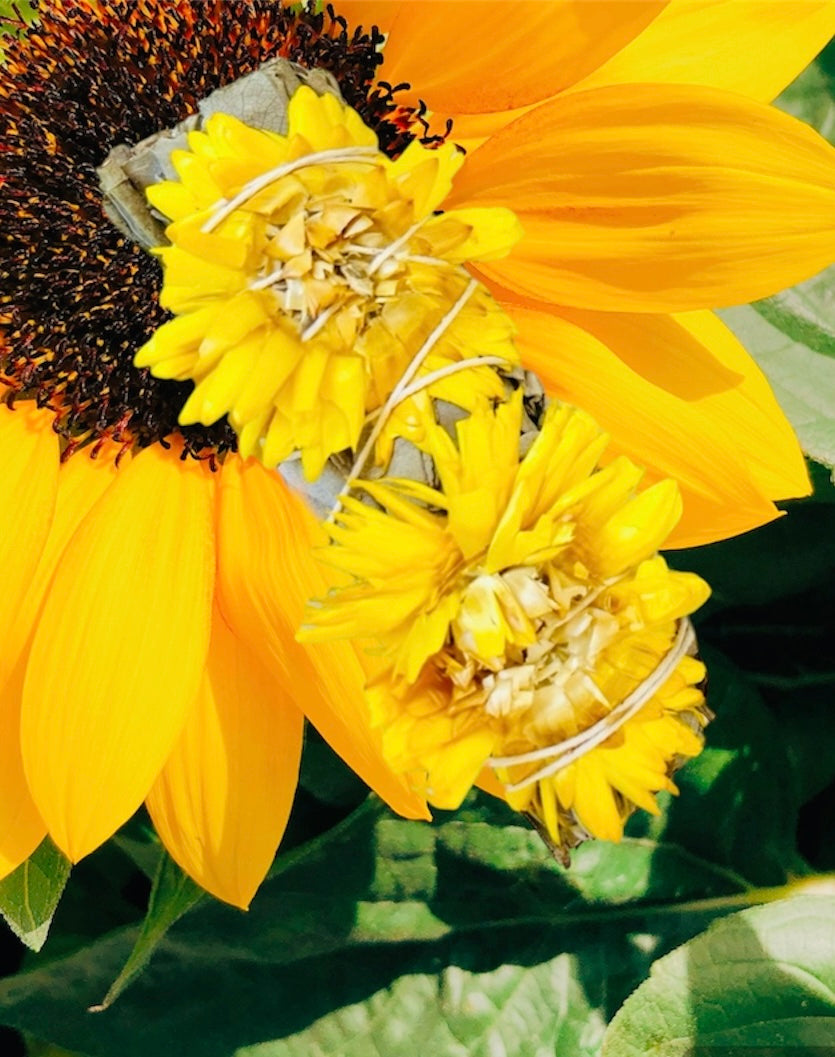 Sunflower Sage – Spiritualbathsbylagypsy